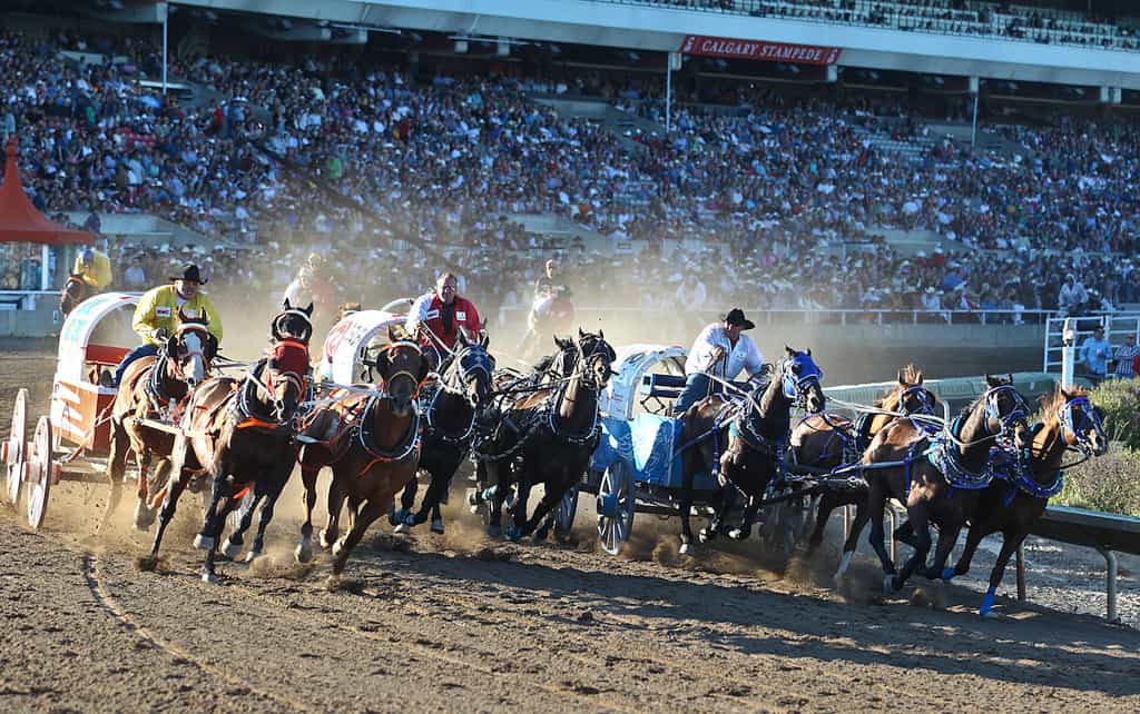 Stampede: Behind the Scenes - Faszination Kanada