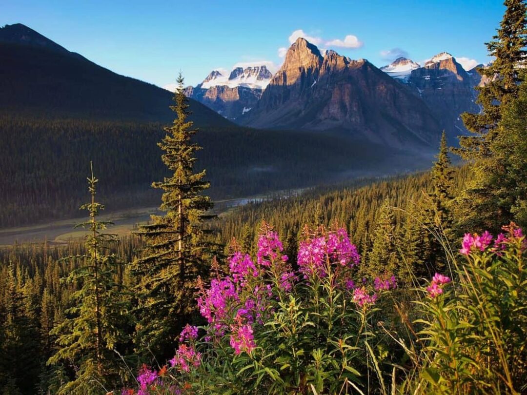 Der Banff Nationalpark