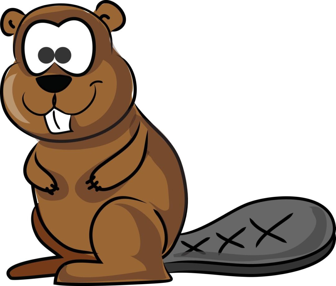 Der Biber - Ein außergewöhnlicher Nager