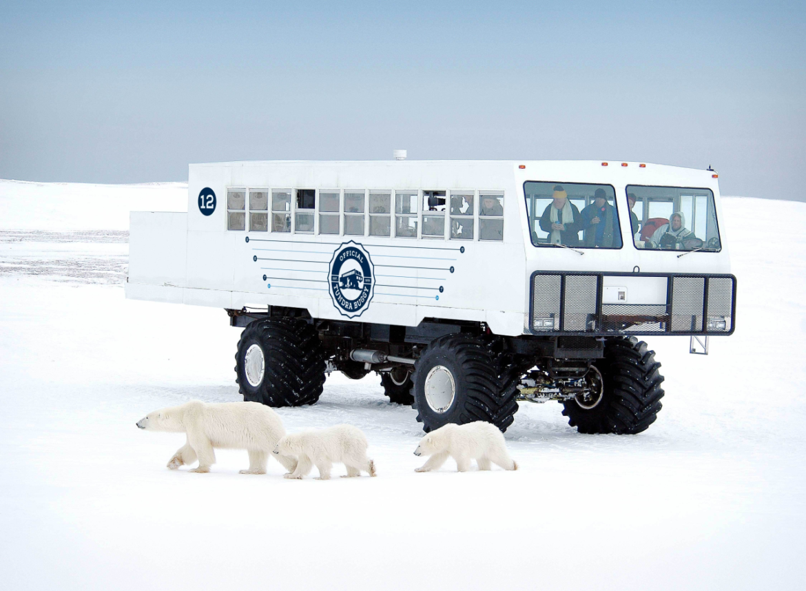 Naturwunder Carcross Desert – Die kleinste Wüste der Welt - Faszination ...